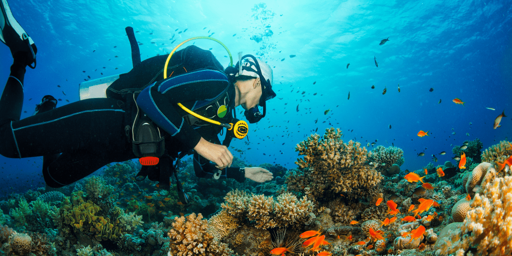 10 Spot 'Diving' Terbaik Indonesia yang Terkenal dan Diakui Dunia ...
